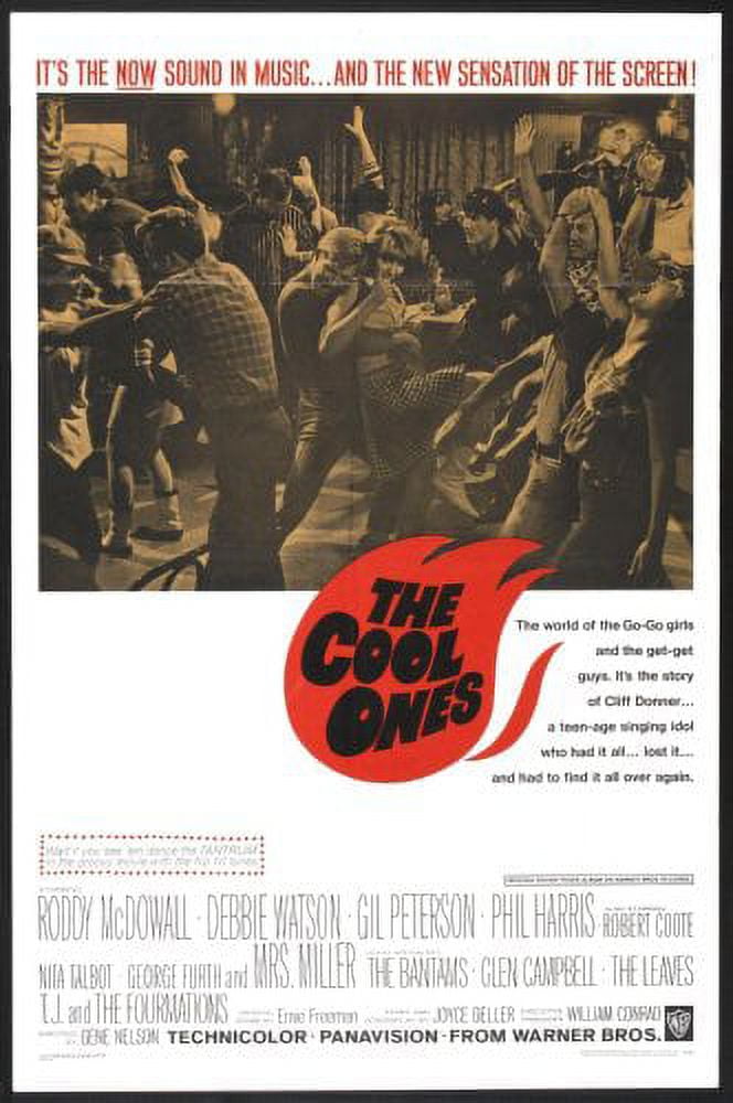 Cool Ones The Movie Poster Reprint 27inx40in for any room 27x40 Multi ...