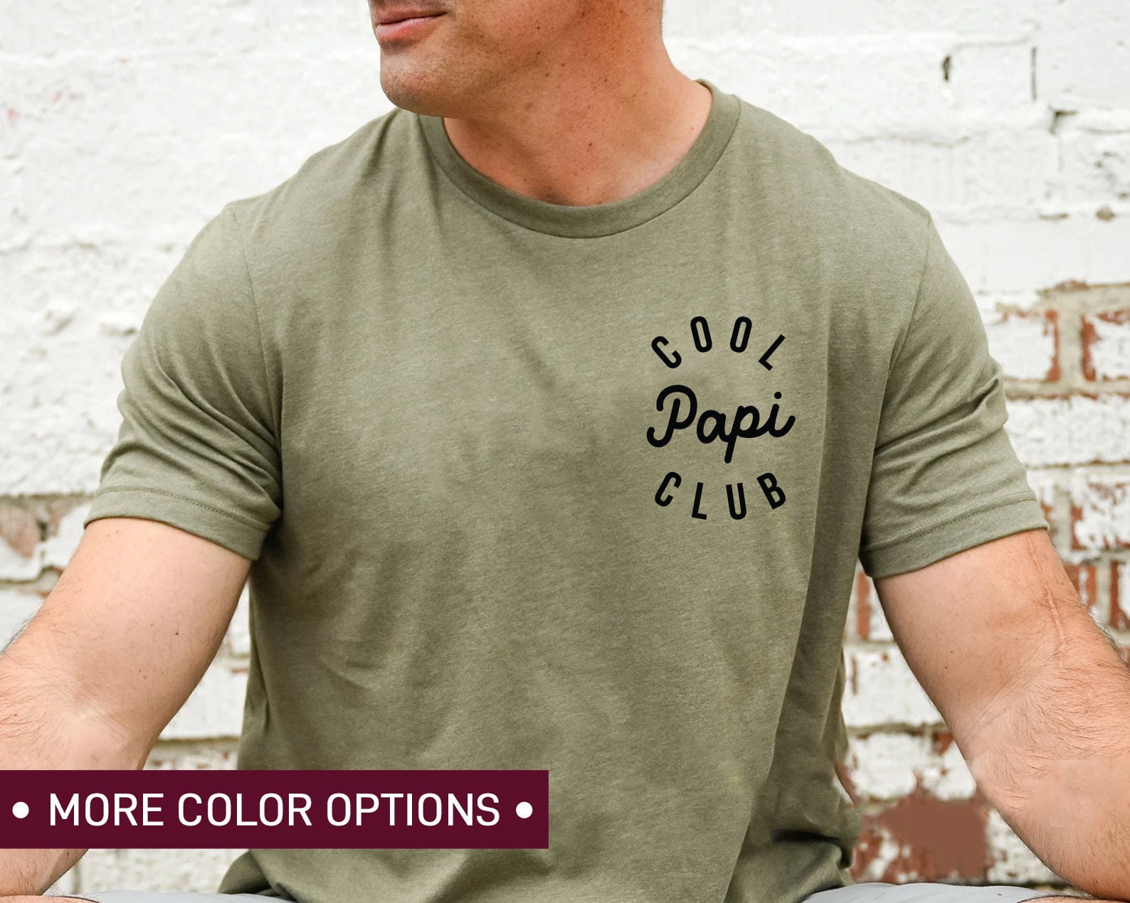 Cool Papi Club Shirt Father's Day Shirt Best Pops Shirt Cool Grandpa ...