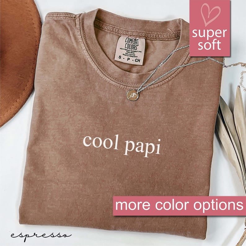 Cool Papi Tee – Father’s Day Best Papi Gift From Grandkids - Walmart.com