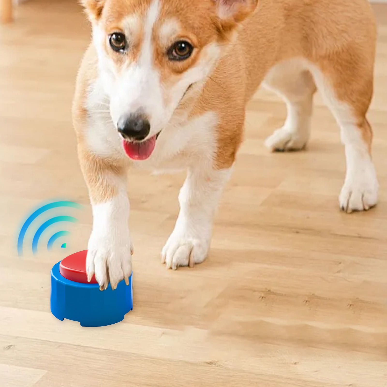 Cool Prices, Interactive Pet Communication Button, Training Speaker for ...