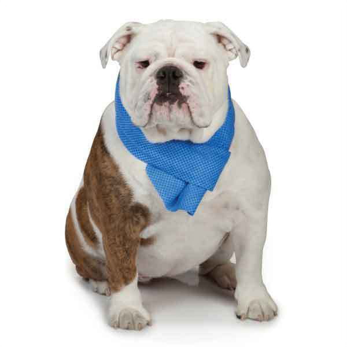 Cool Pup Cooling Towel Keep Dogs Pets Cool for Hours Protect Them from ...