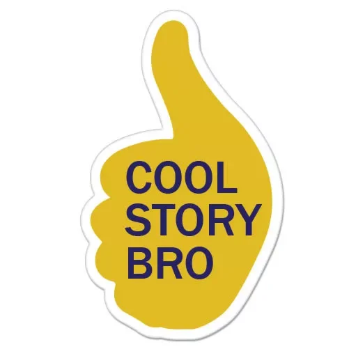 Cool Story Bro Sticker Decal Phone Decal Water Bottle Stickers Car ...