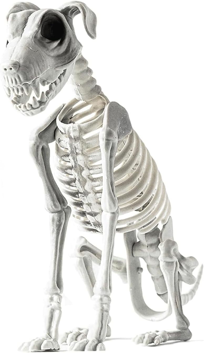 Cool Stuff to Put on Shelves Halloween Dog Bones Skull Skeleton Dog ...