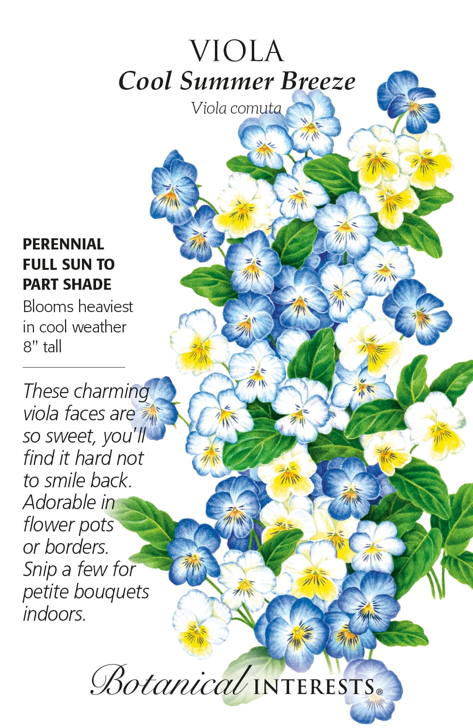 Cool Summer Breeze Viola Seeds - 200 Mg - Walmart.com