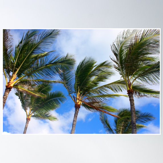 Cool Waving Palm Tree Paradise Poster Wall Art, Modern Wall Decor, 8x12 ...