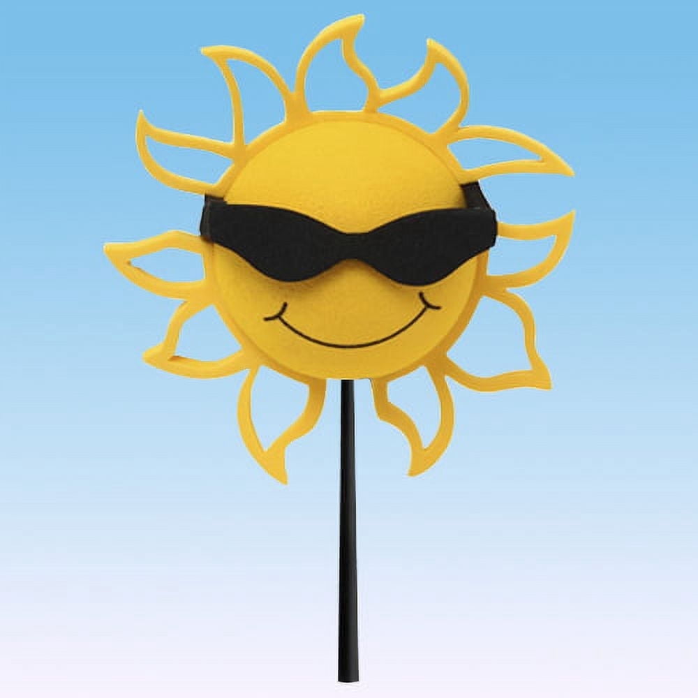 Coolballs Original Cool California Sunshine Black Sunglasses Car ...