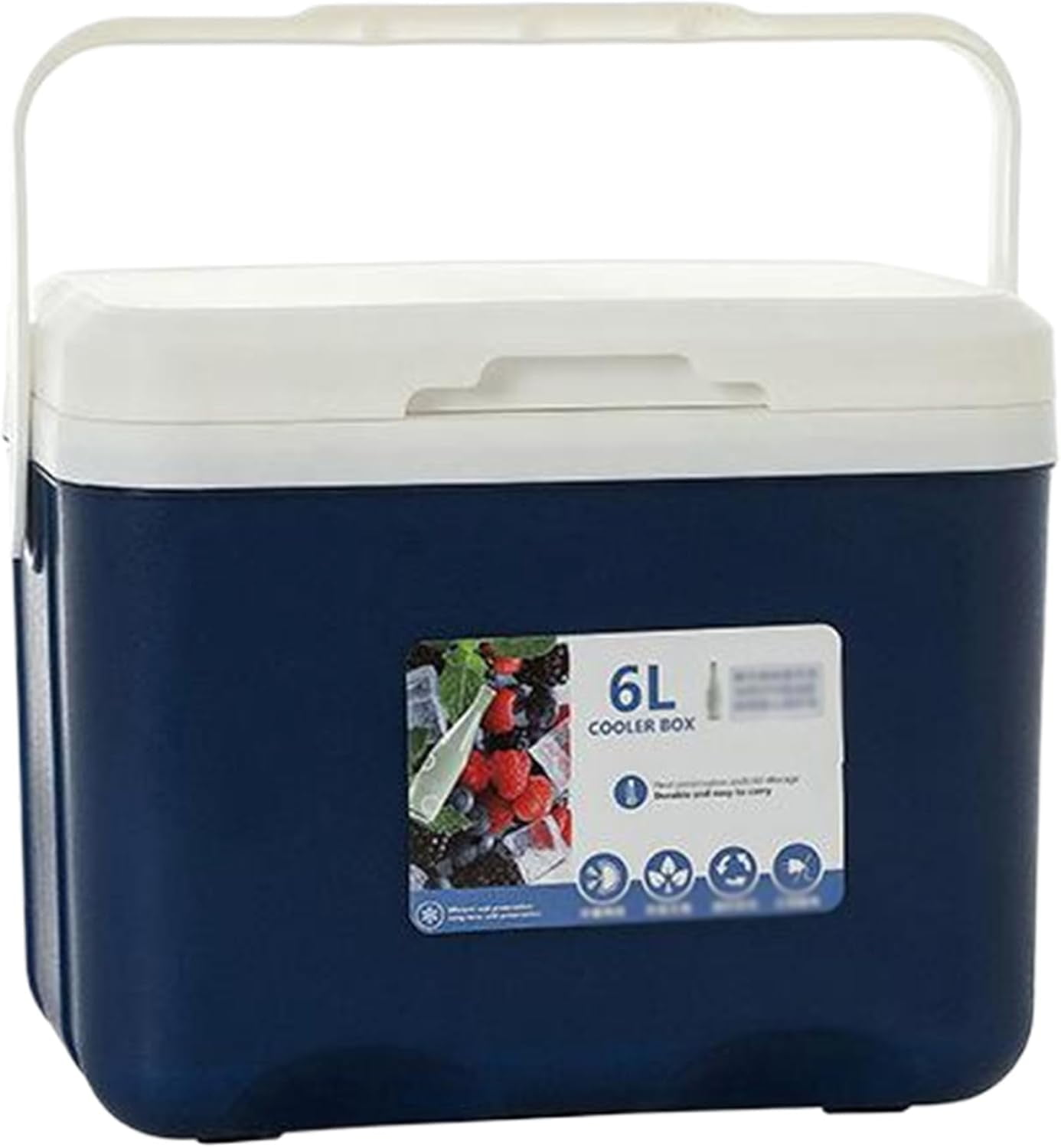 Cooler Box 6L Coooling ＆ Warm Insulated Small Cooler with Handle 10 ...