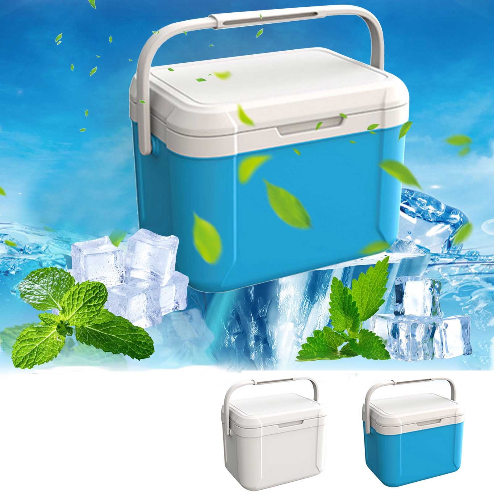 Cooler Box Ice Box 6L Personal with Handle for Freeze/Hot Food Ice ...
