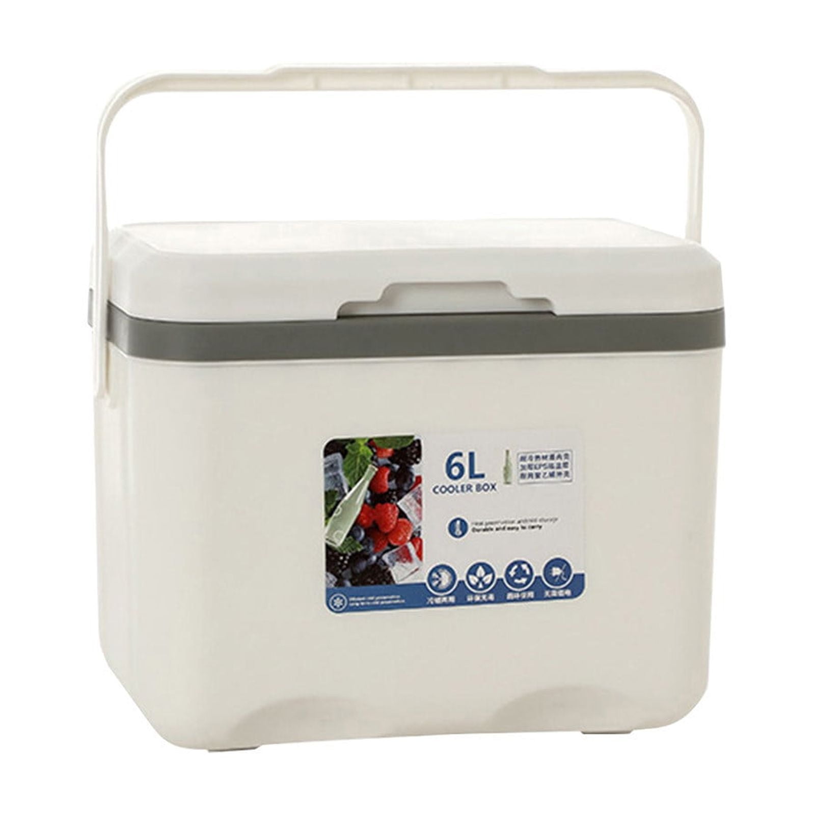Cooler Box Insulated Box 6L Personal for Freeze/Hot Food Ice Box Ice ...