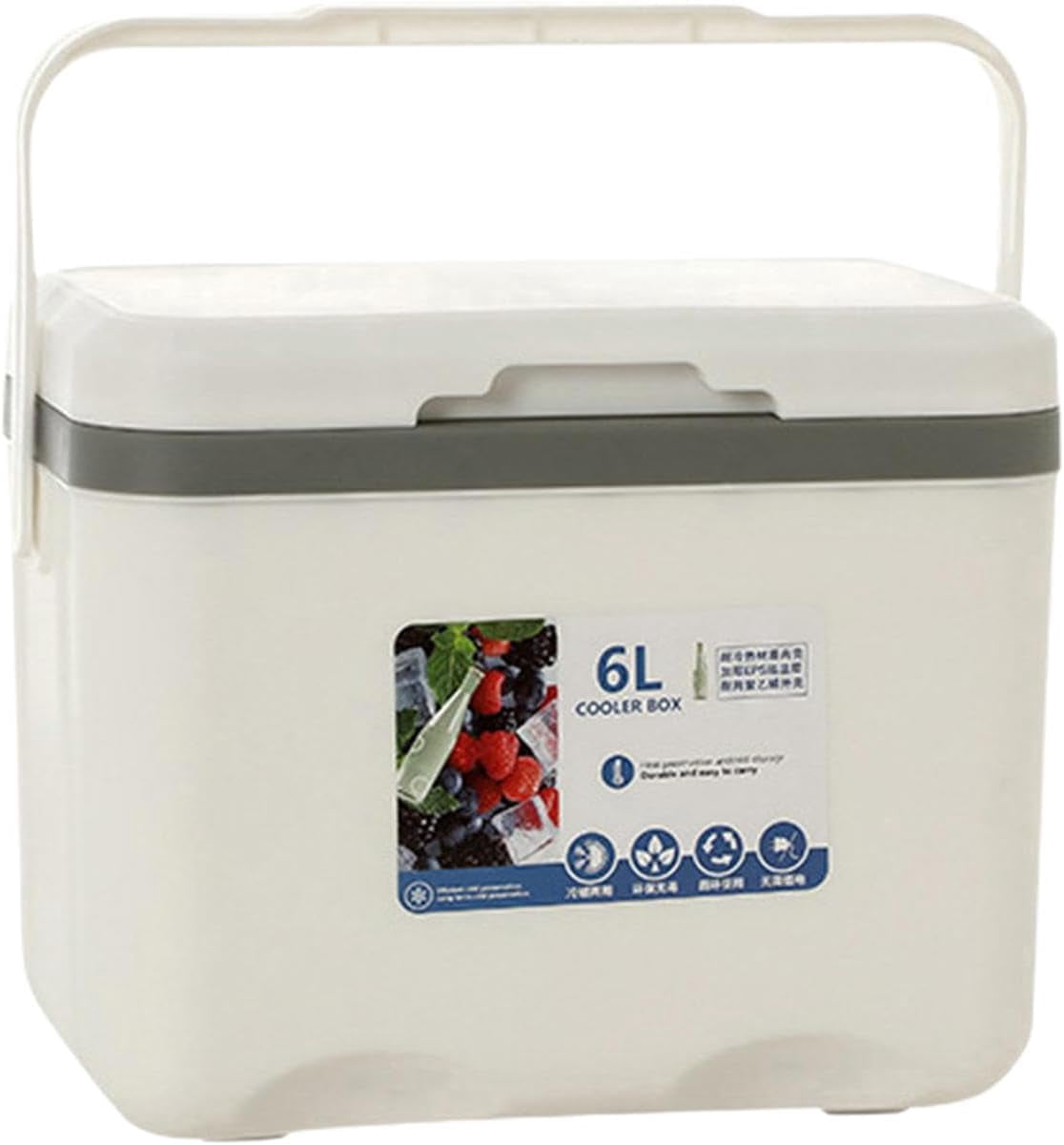Cooler Insulated Box 6L Personal for Freeze/Hot Food Ice Chest Small ...
