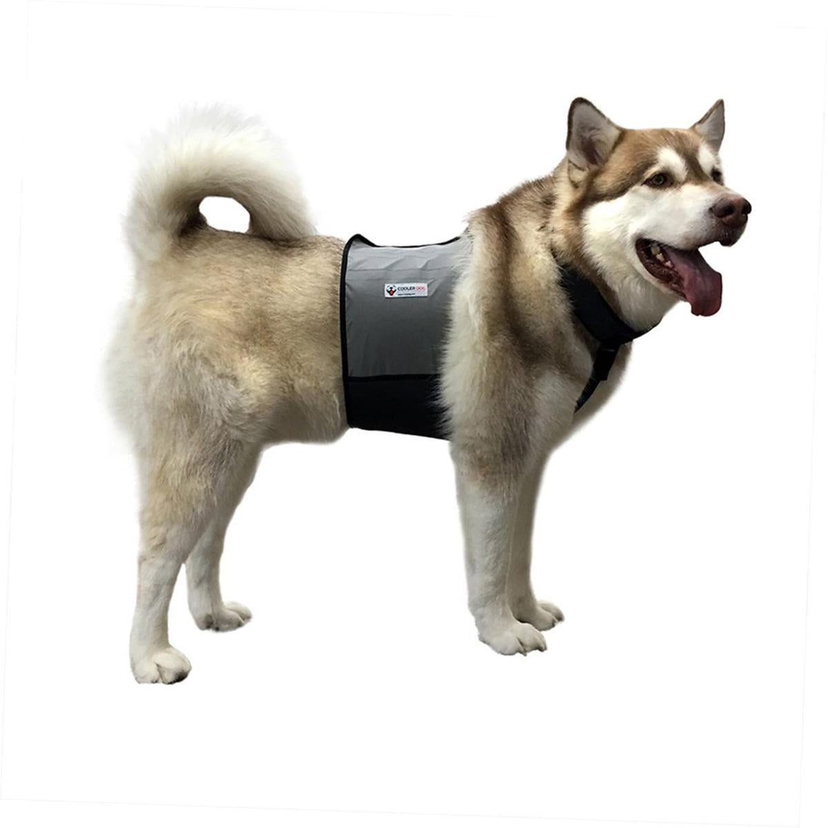 CoolerDog Cooling Vest and Collar, Large Dogs, Prevent Overheating ...
