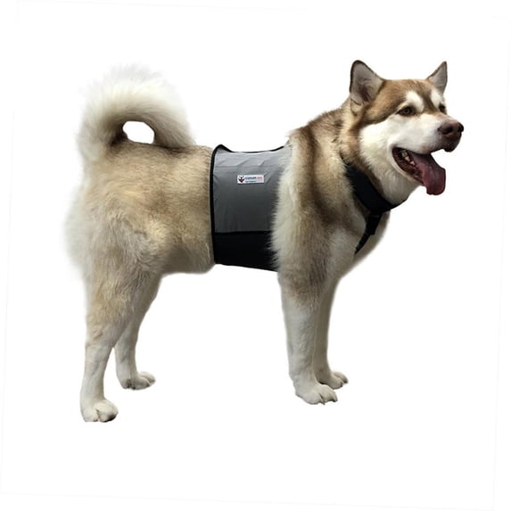CoolerDog Cooling Vest and Collar, Large Dogs, Prevent Overheating ...