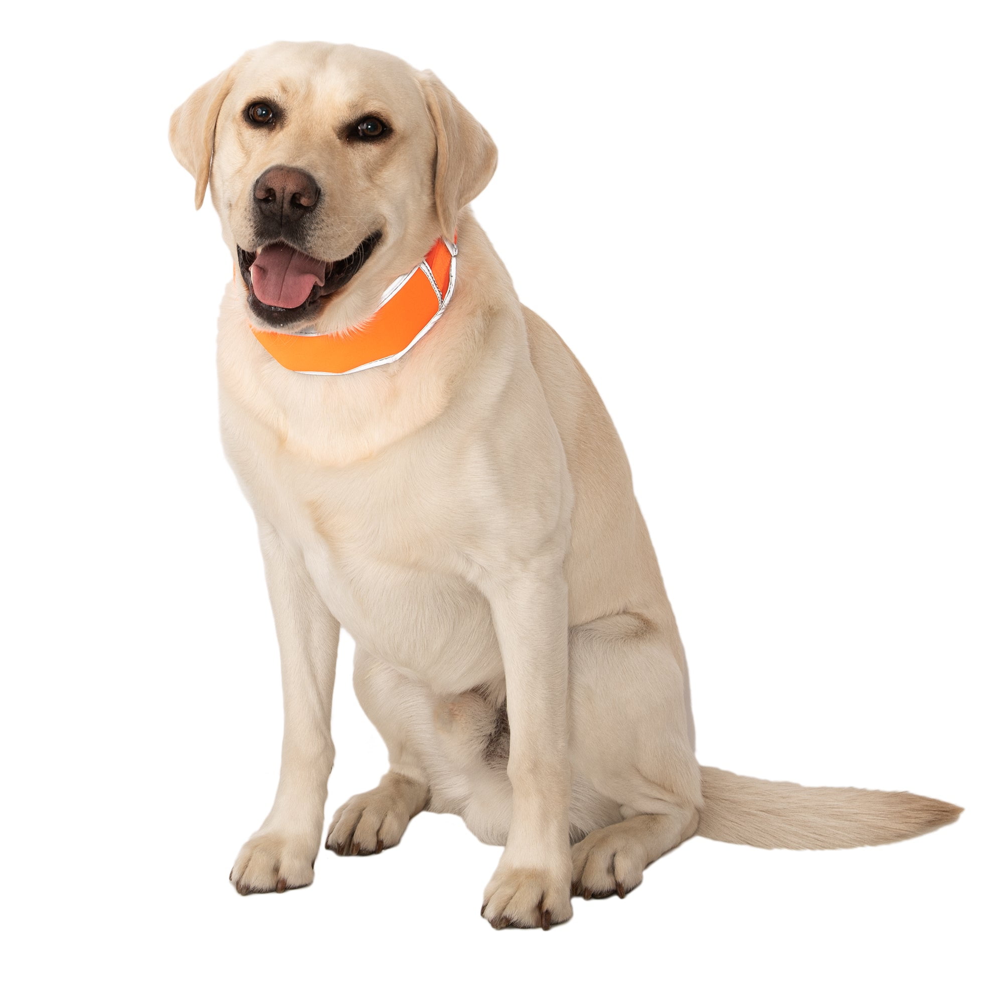 CoolerDog High-Vis Cooling Collar - Reflective Orange - Walmart.com