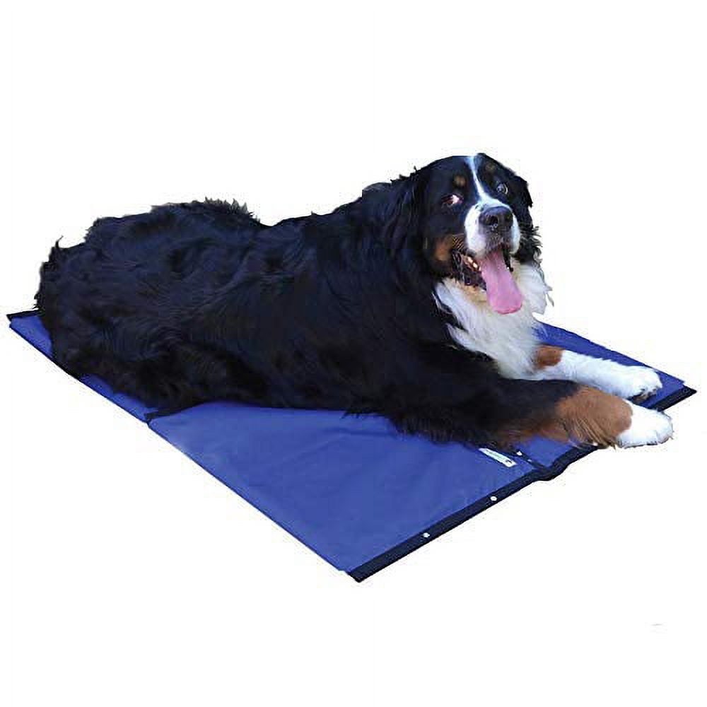 CoolerDog Hydro Cooling Mat (For Extra Large Sized Dogs) - Walmart.com