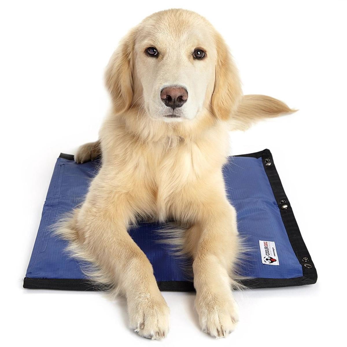Cooler Dog Hydro Cooling Mat (Small Sized Dogs) - Walmart.com