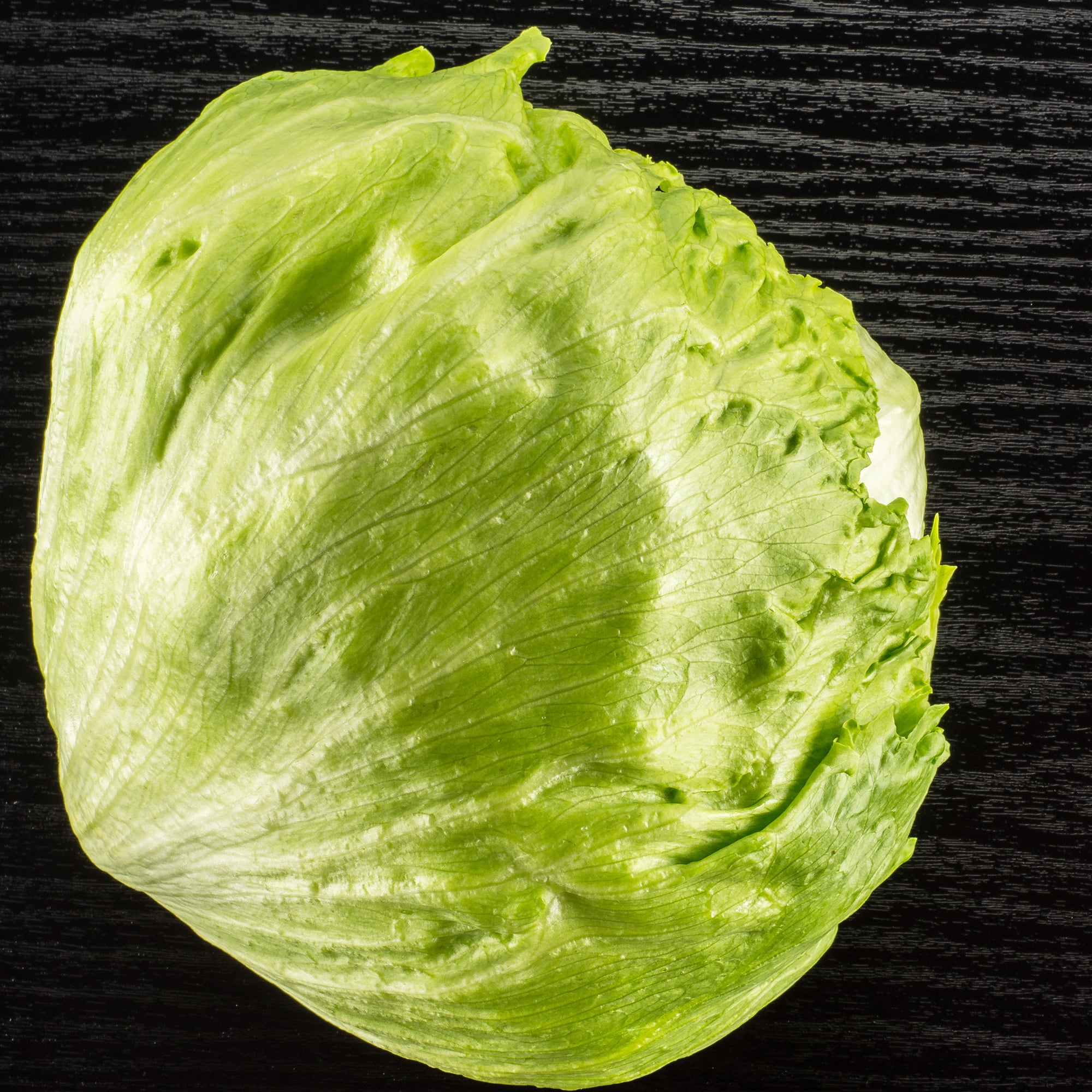 Coolguard Lettuce Seeds - 4 Oz ~100K Seeds - Lactuca Sativa - Non-GMO ...