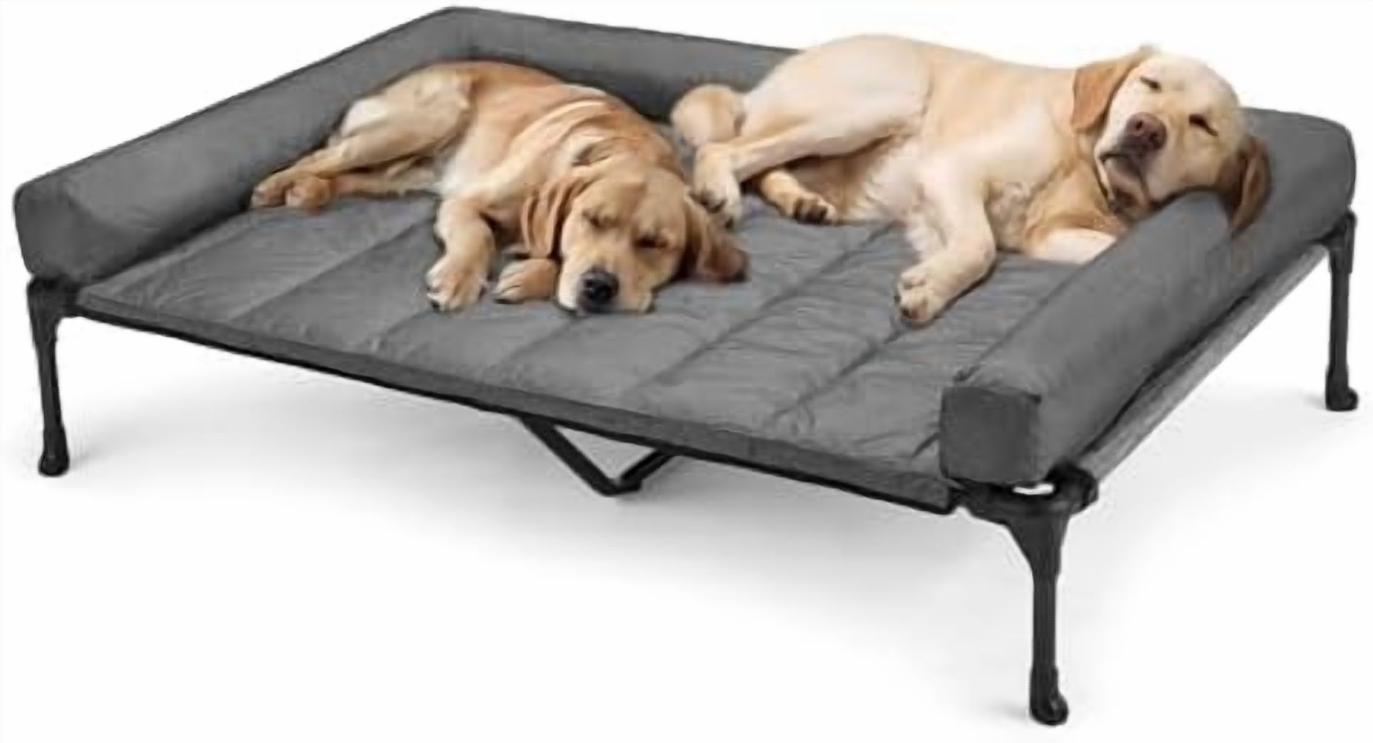 Cooling Elevated Dog Bed Add Removable Waterproof Bolster Cushion Mat ...