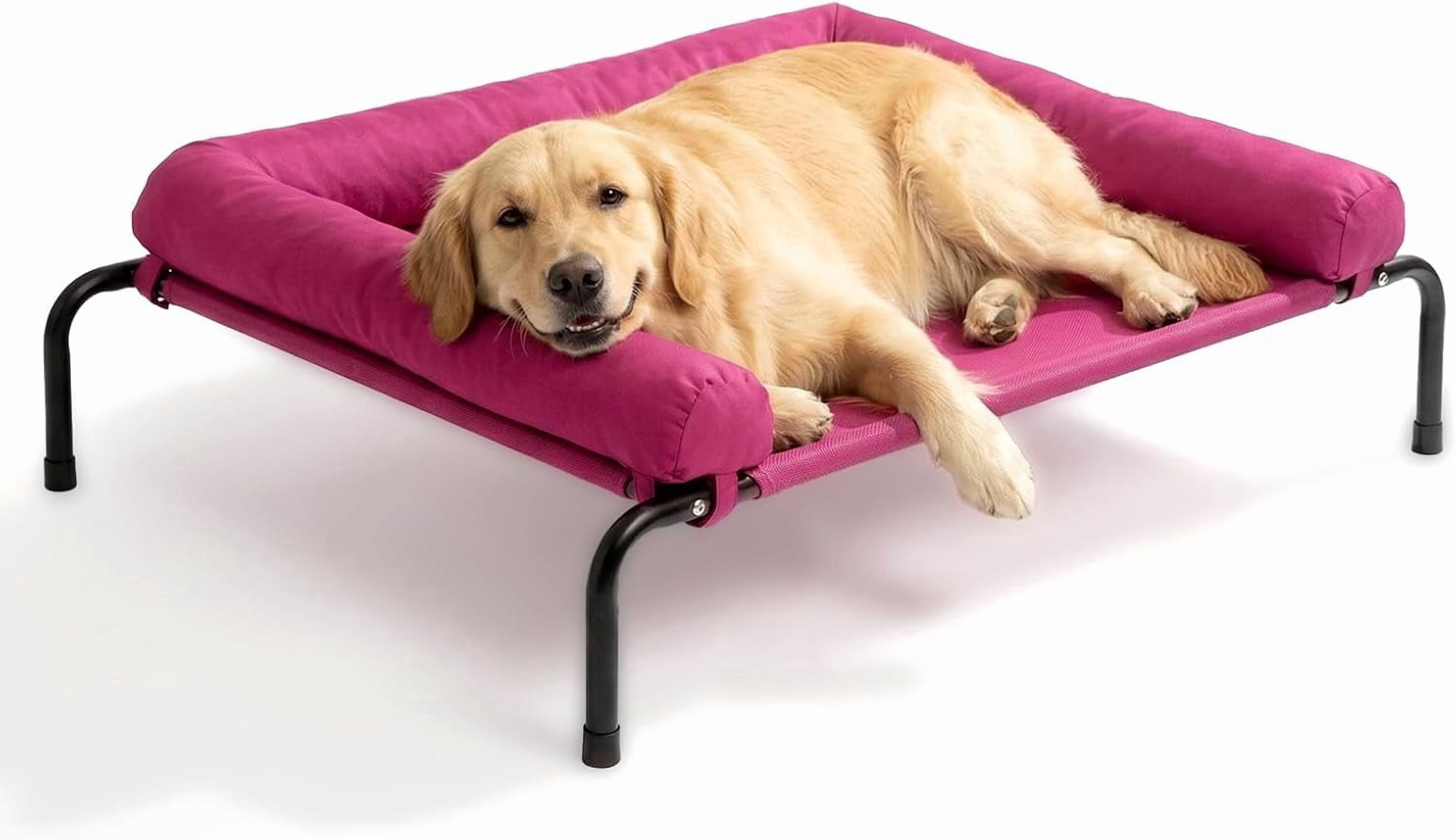 Cooling Elevated Dog Bed, Outdoor Raised Dog Beds, Medium Waterproof ...