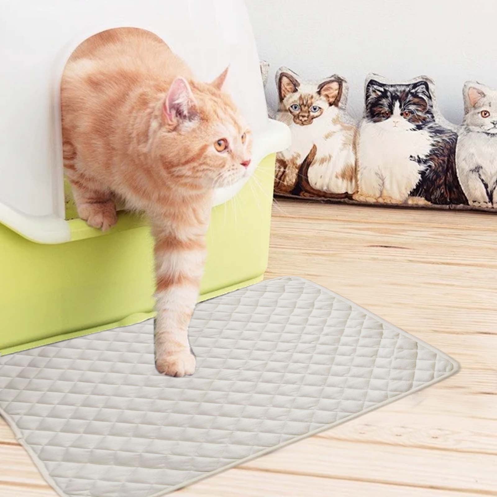 Cooling Mat for Pets and Humans, Blue 50x40cm Water-Absorbing Sleeping ...