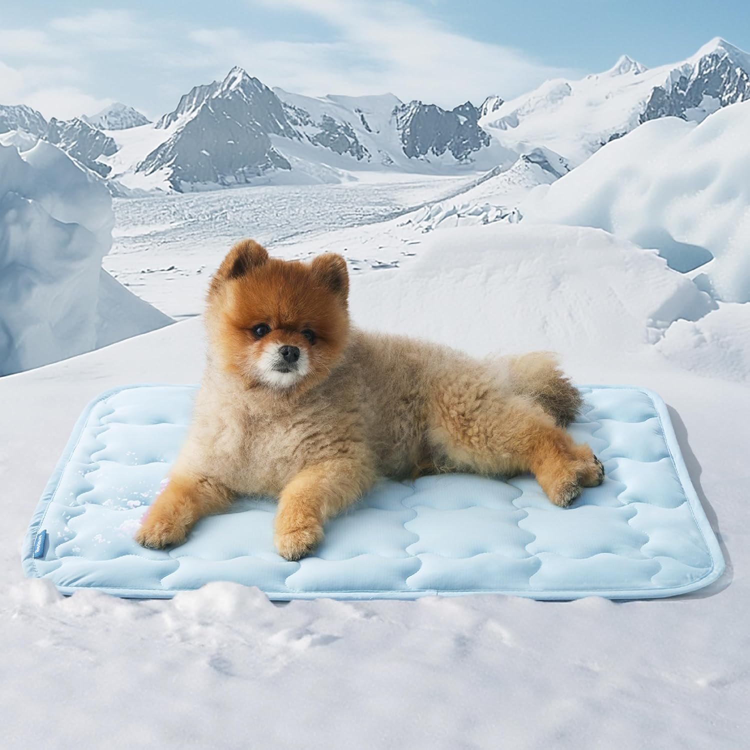 Cooling Mat for Small Dogs – 24x18 Thin Washable Cooling Pet Pad for ...