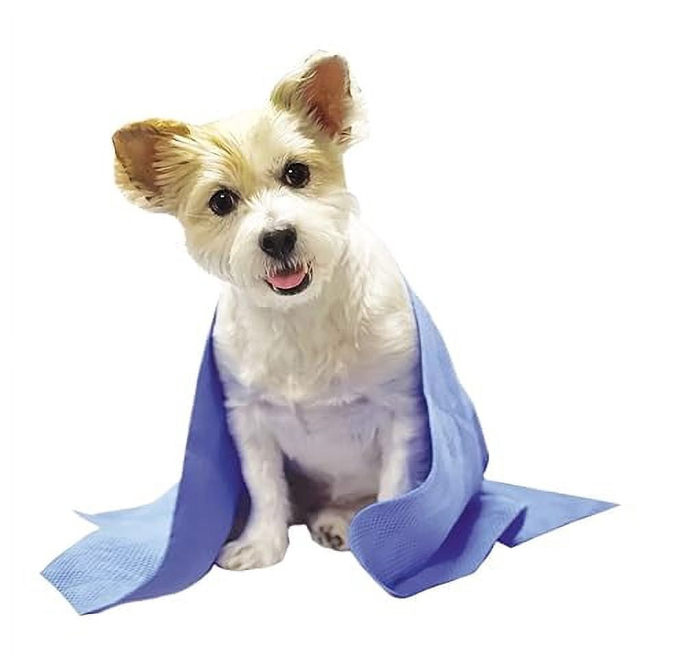 Cooling and Drying Dog Mat Refreshing Super Ultra Absorbent Carbon ...