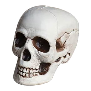 Realistic Skulls