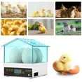 Coollooc Chicken Incubators for Hatching Eggs, Egg Incubator with ...