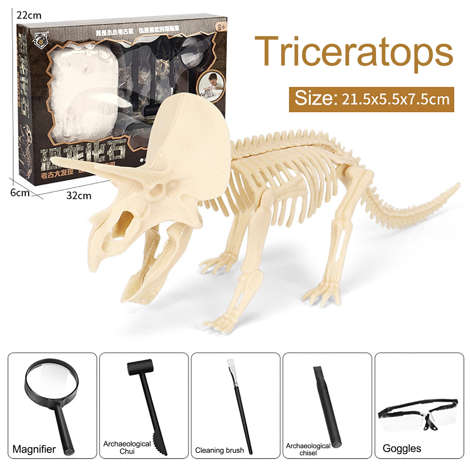 Coollooc Dinosaur Excavation Archaeology Dig Kit for Kids, Fossil ...