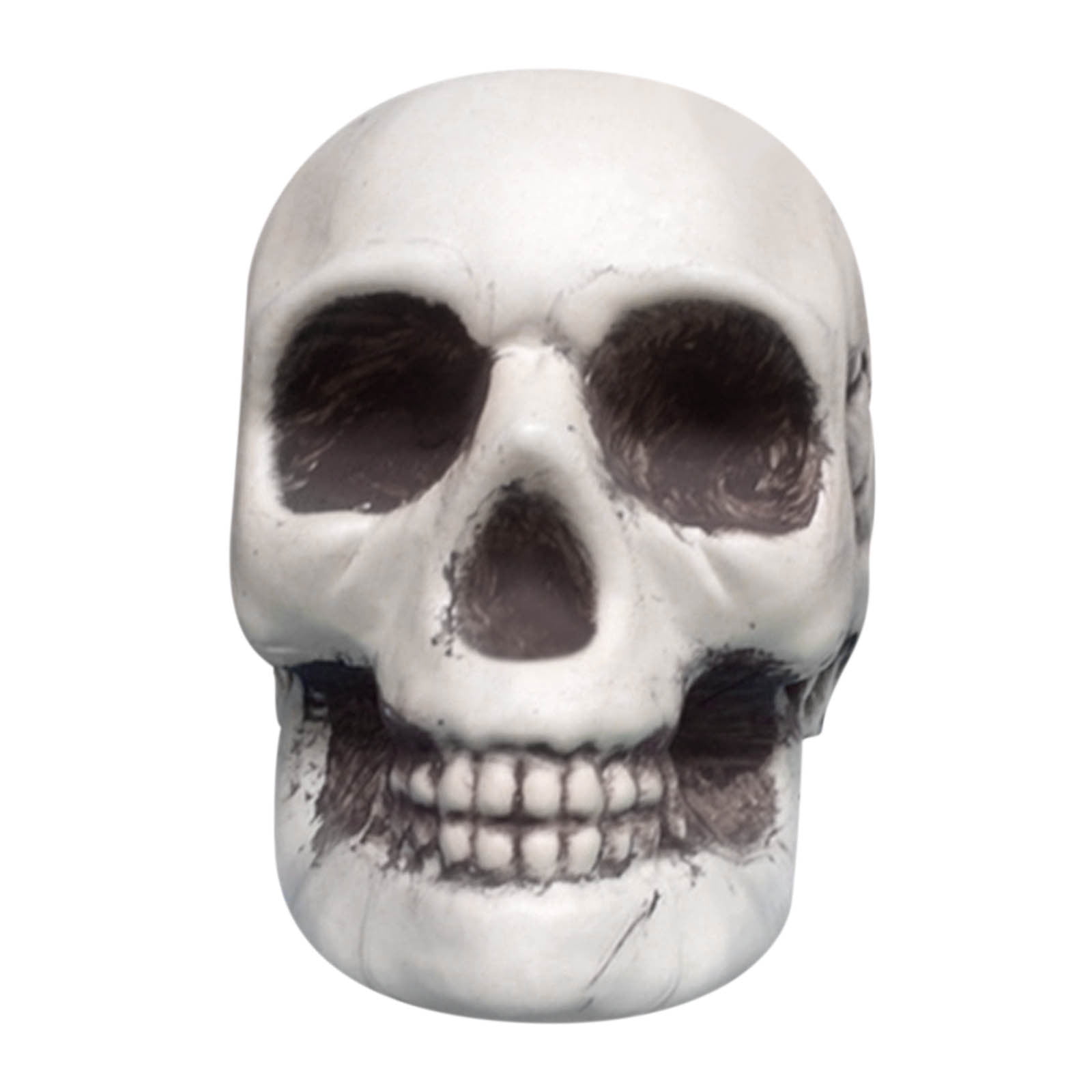 Coollooc Halloween Life Size Skeleton Skull Model Human Skull Replica ...