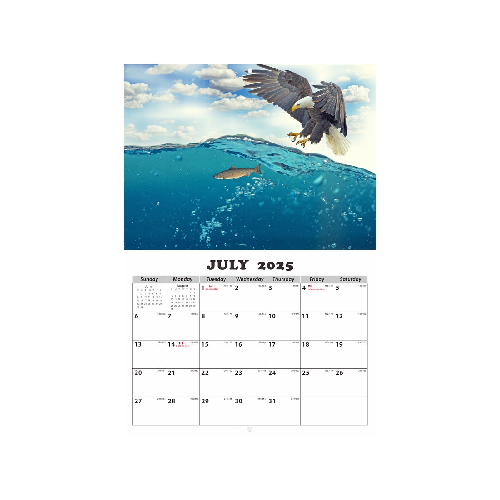 Coollooc Owls 2025 Wall Calendar 12 Month | 12" x 24" Open | Thick ...