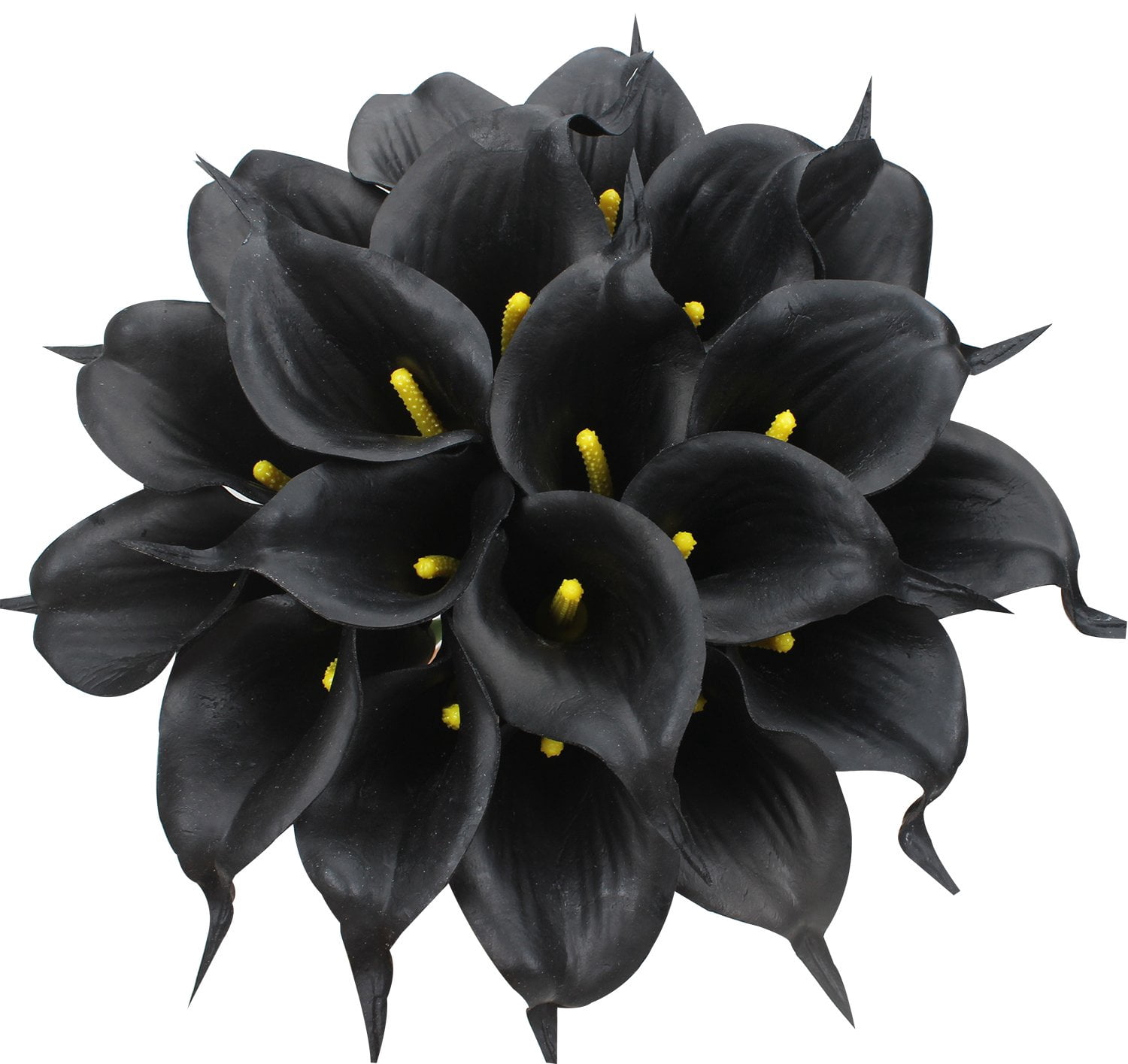 Black Calla Lilies