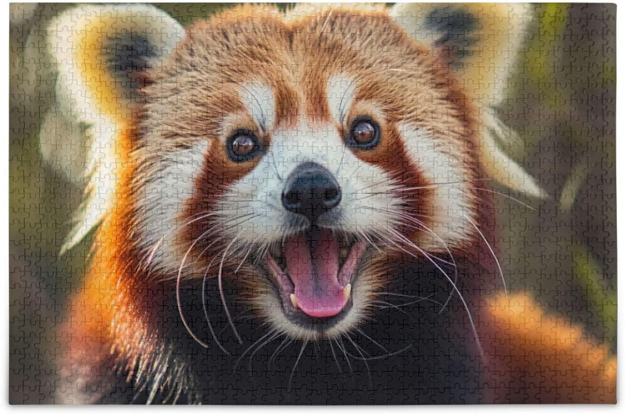 Coolnut 1000 Pieces Cute Raccoon Jigsaw Puzzle for Adults Teens Kids ...