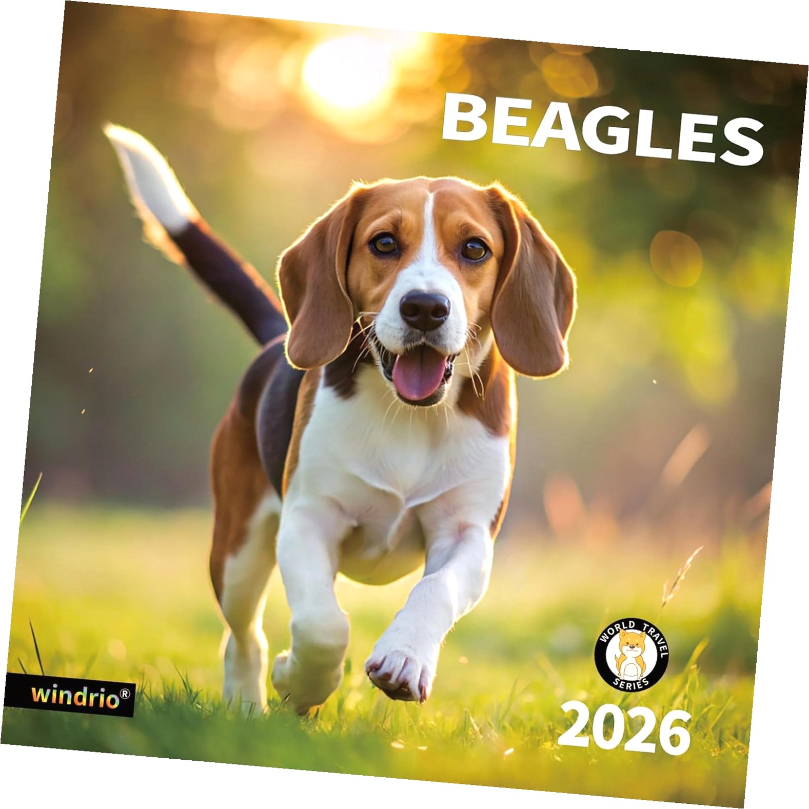 Coolnut 2026 Wall Calendar, Calendar 2026, November 2025 to December ...