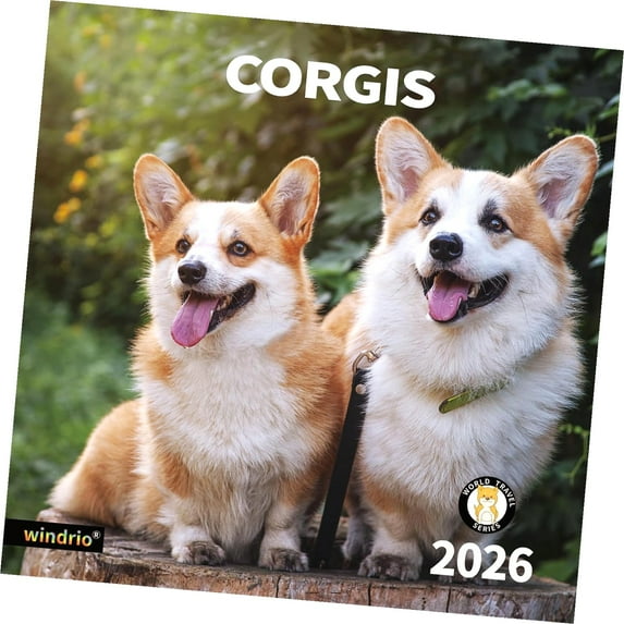 Coolnut 2026 Wall Calendar, Calendar 2026, November 2025 to December ...