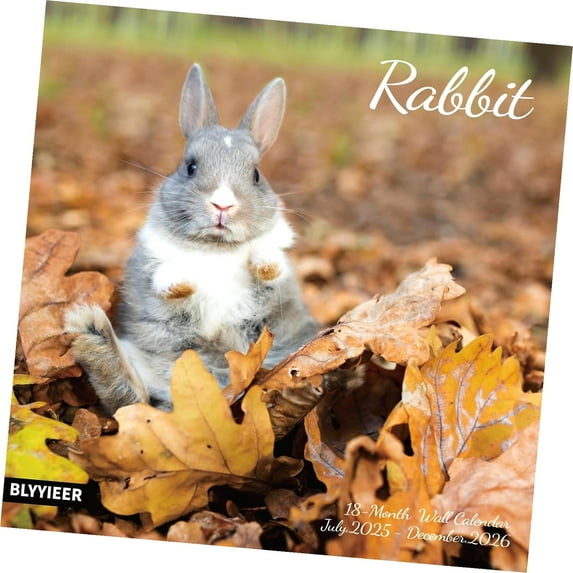 Coolnut 2026 Wall Calendar, Calendar 2026, Rabbit Monthly Wall Calendar, 12" 24" Open, Planner ...