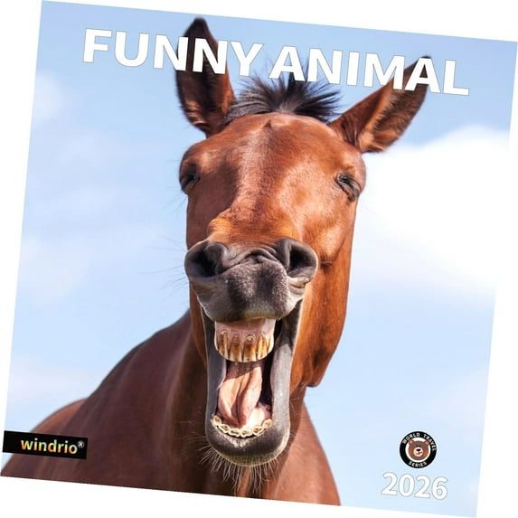 Coolnut 2026 Wall Calendar, Humorous Calendar 2026, November 2025 to ...