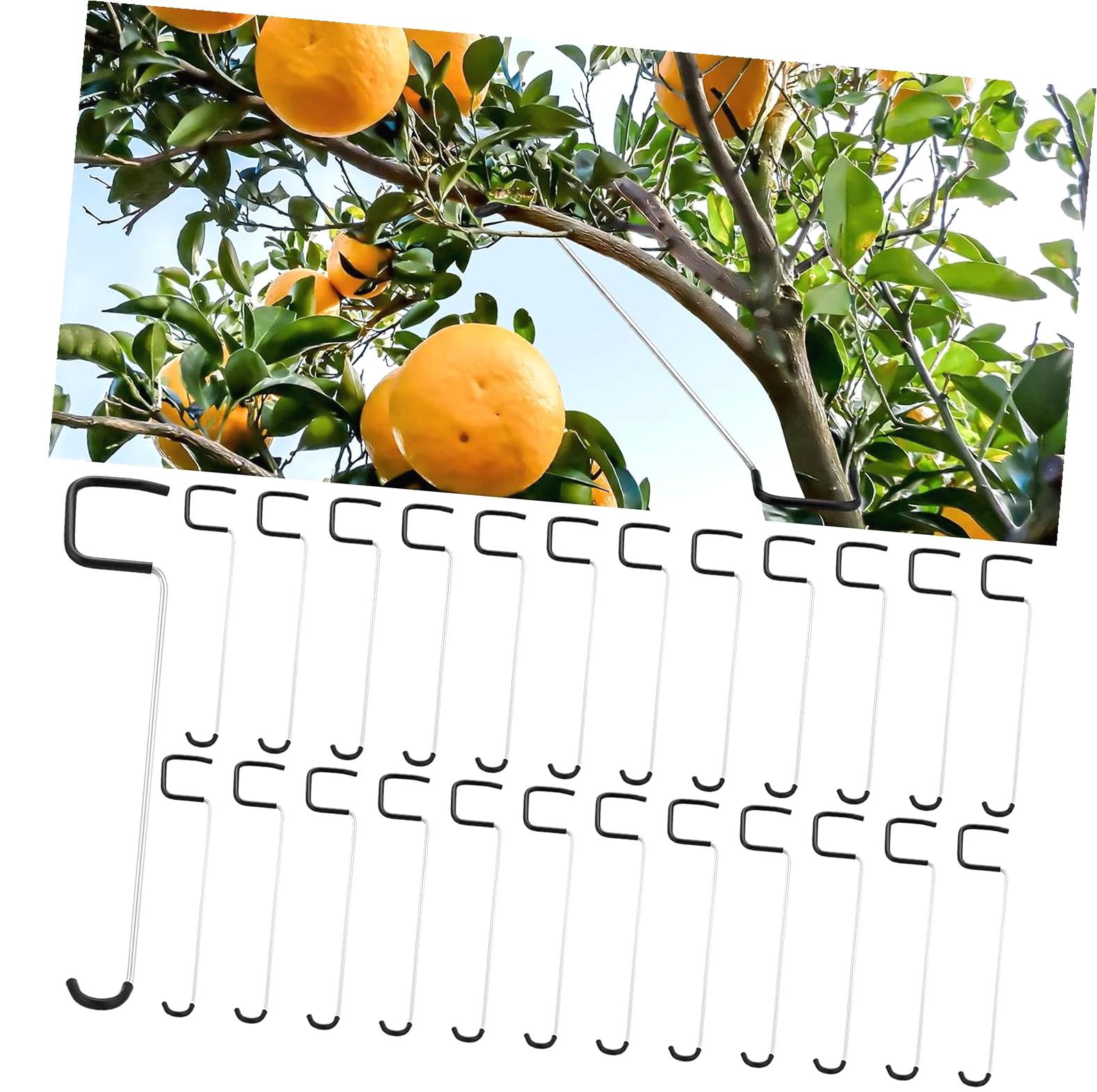 Coolnut 25 Piece Fruit Tree Limb Spreader Set, 10 Inch Branch Puller ...