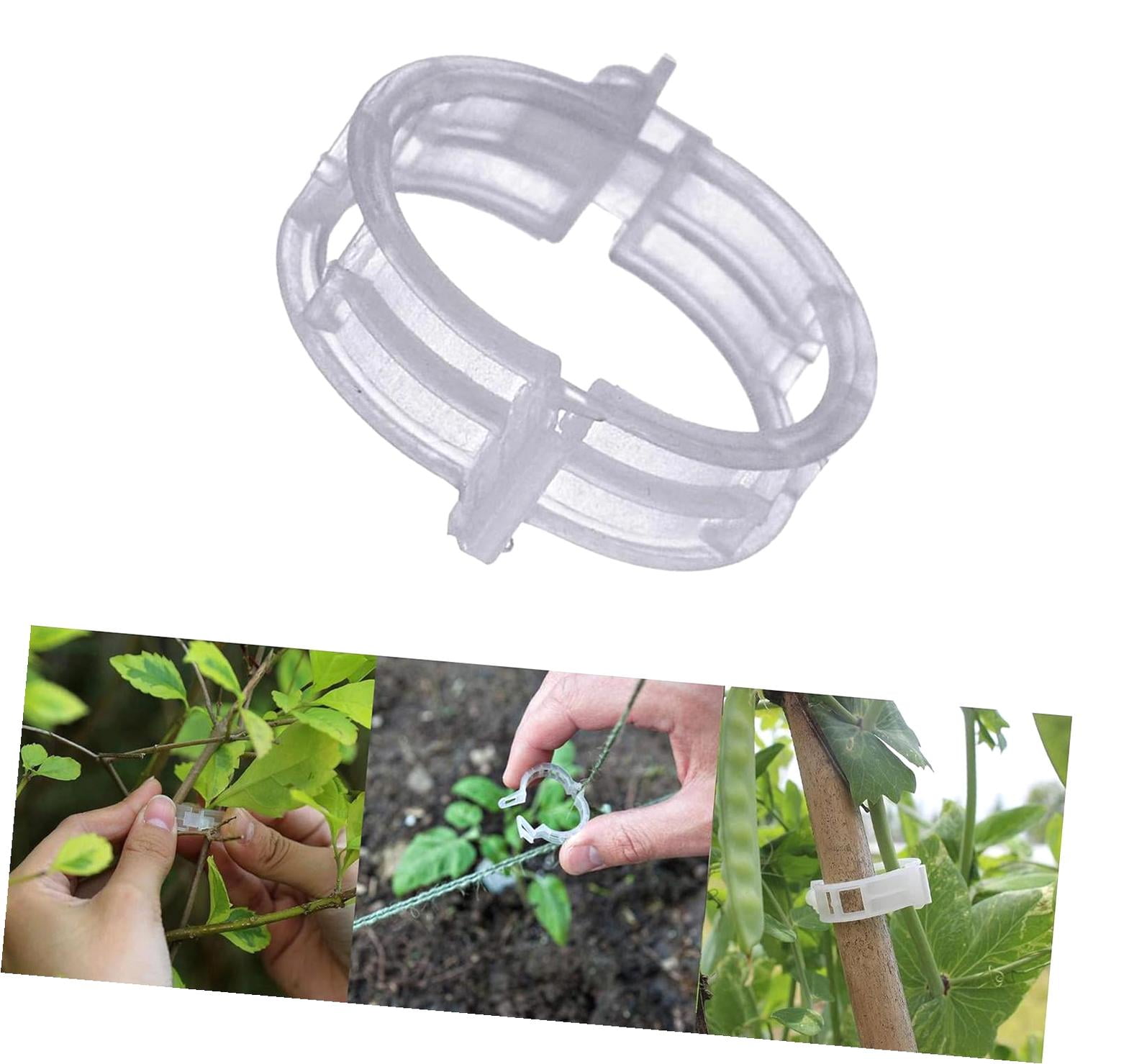 Coolnut 300 Pieces Tomato Supports, Gardening Plant Clips for Stability ...