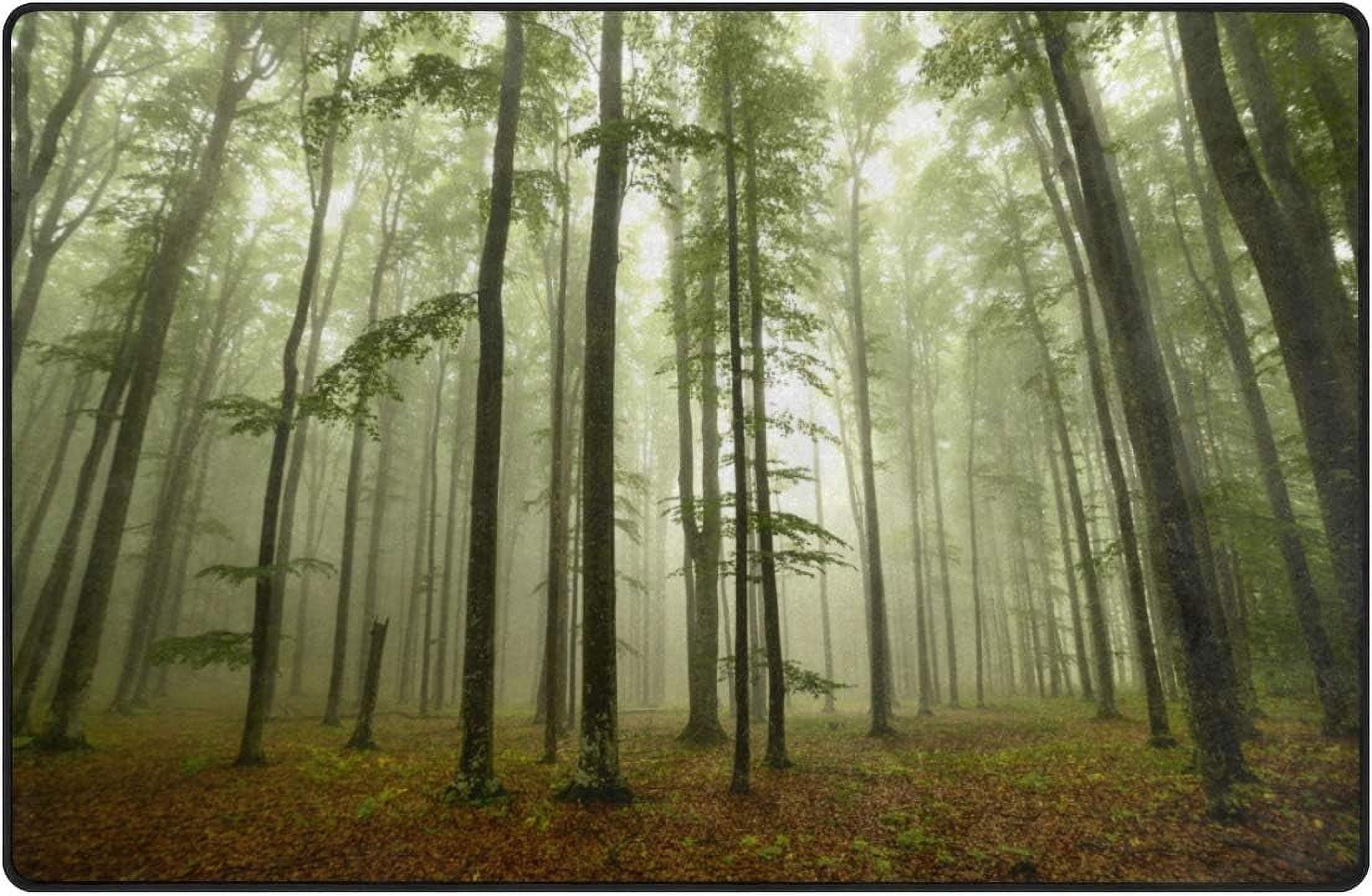 Coolnut 31x 20 Inch Area Rug, Carpet Forest Inside Doormat for Hardwood ...