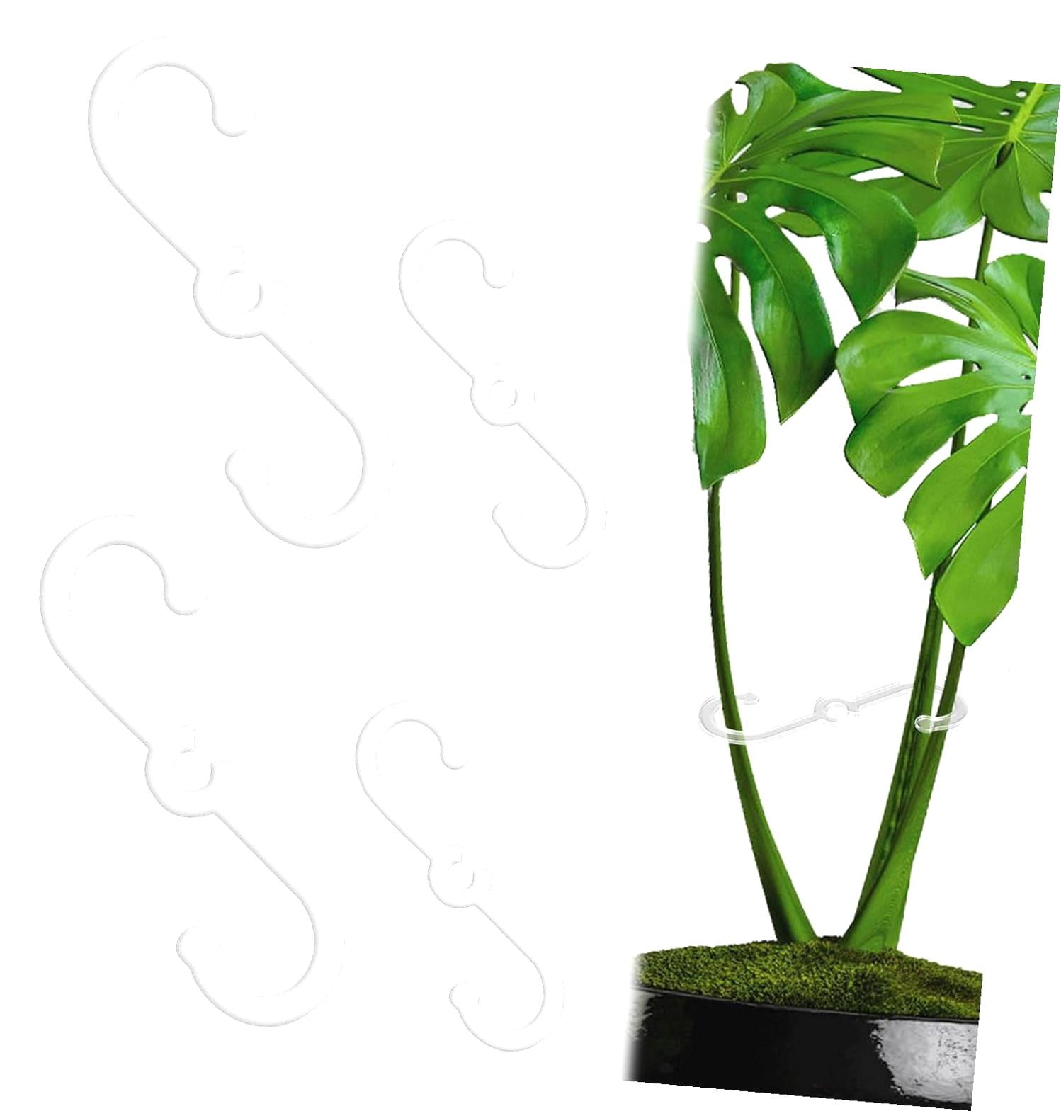 Coolnut 4pcs Plant Supports, 2 Sizes Plant Hook Stabilizers for Indoor ...