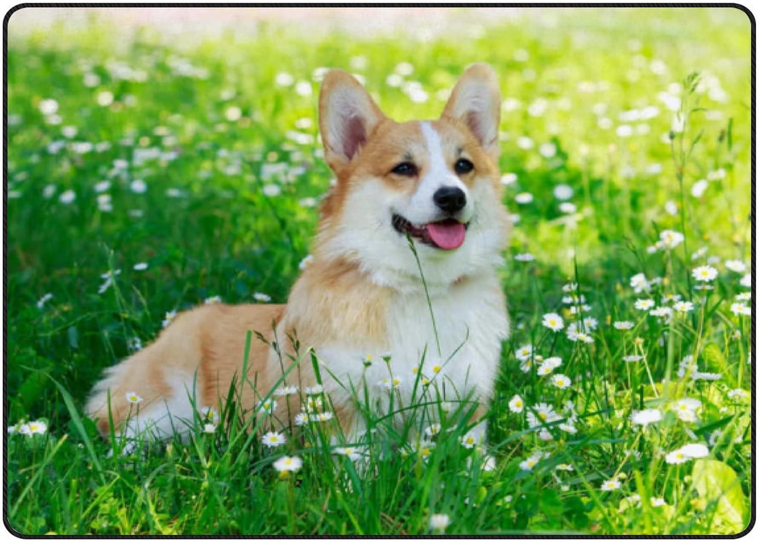 Coolnut 5'3" x 4' (63 x 48 in) Area Rug, Pembroke Welsh Corgi on Green ...