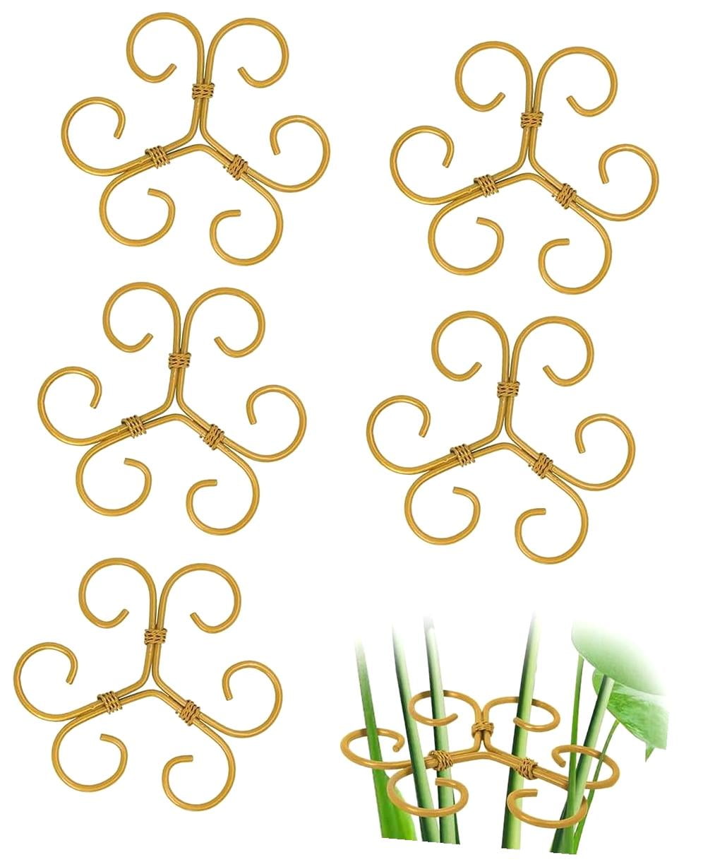 Coolnut 5Pcs Indoor Plant Supports, 2025 Latest Adjustable Monstera ...
