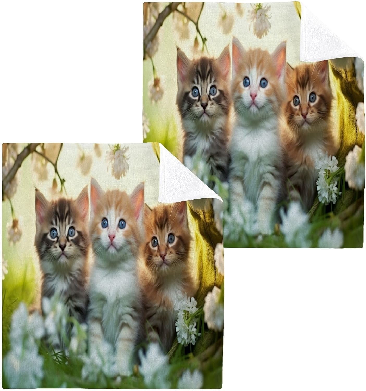 Coolnut 6 Pack Funny Cats Pure Cotton Washcloths 12 x 12 Inch Reusable ...