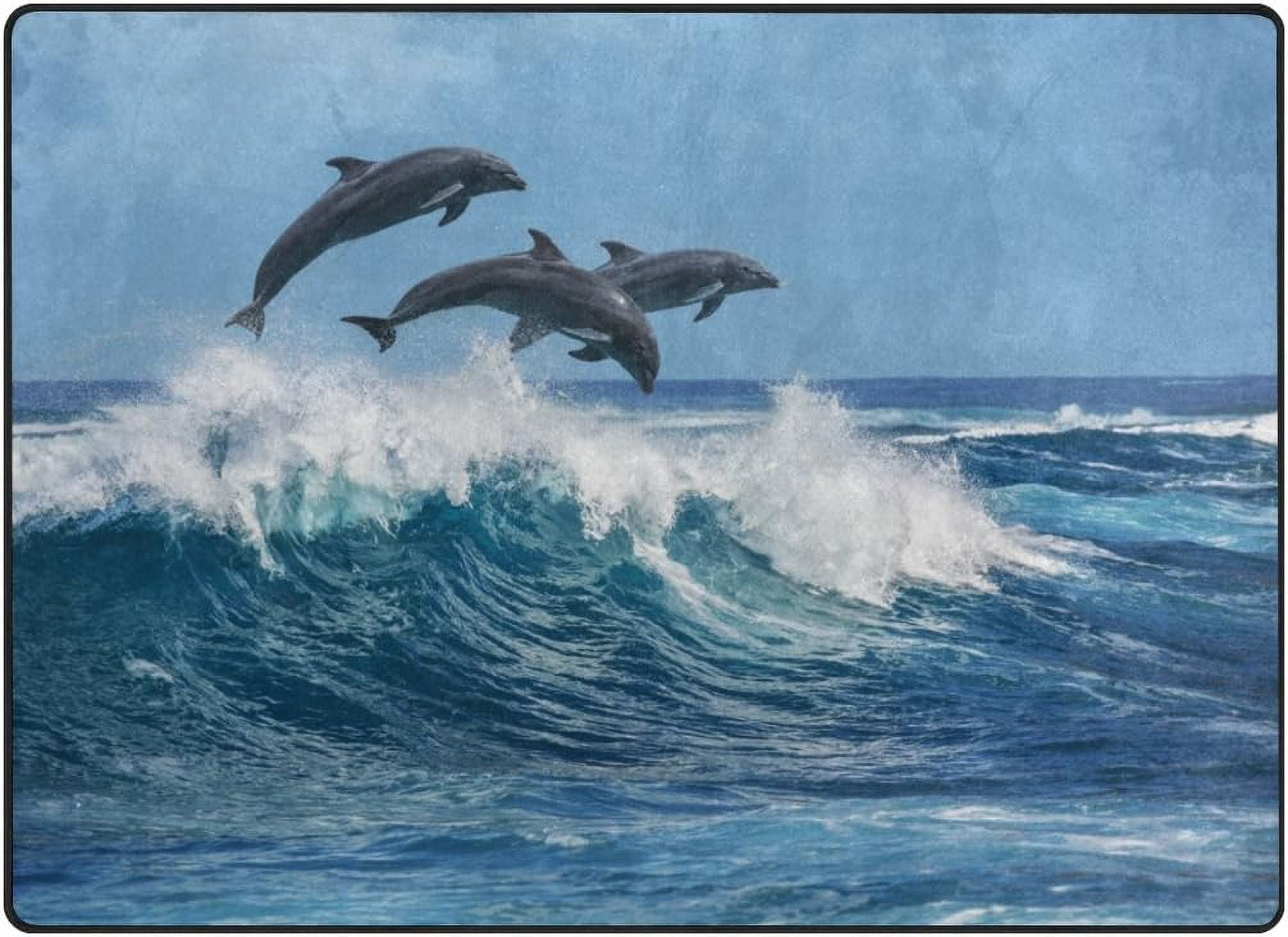 Coolnut 80 x 58 inches Lightweight Soft Area Rug Mat Indoor Floor Rugs ...