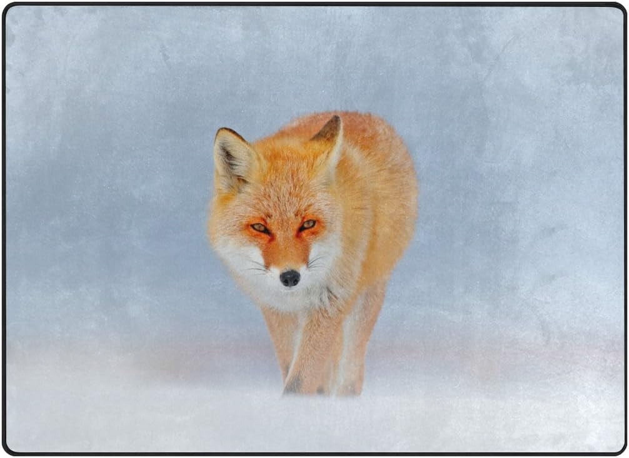 Coolnut 80 x 58 inches Lightweight Soft Area Rug Mat Indoor Floor Rugs ...