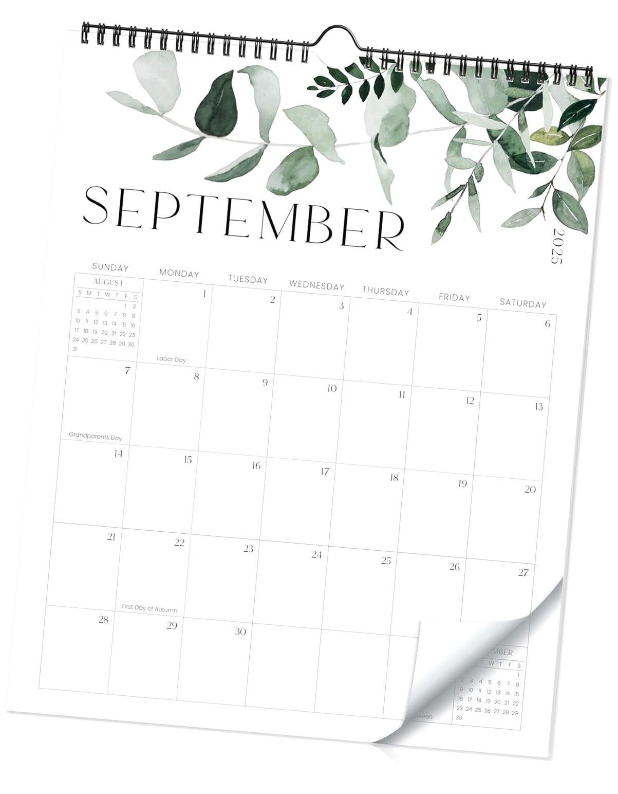 Coolnut Aesthetic 2025-2026 Wall Calendar Runs from June 2025 Until ...