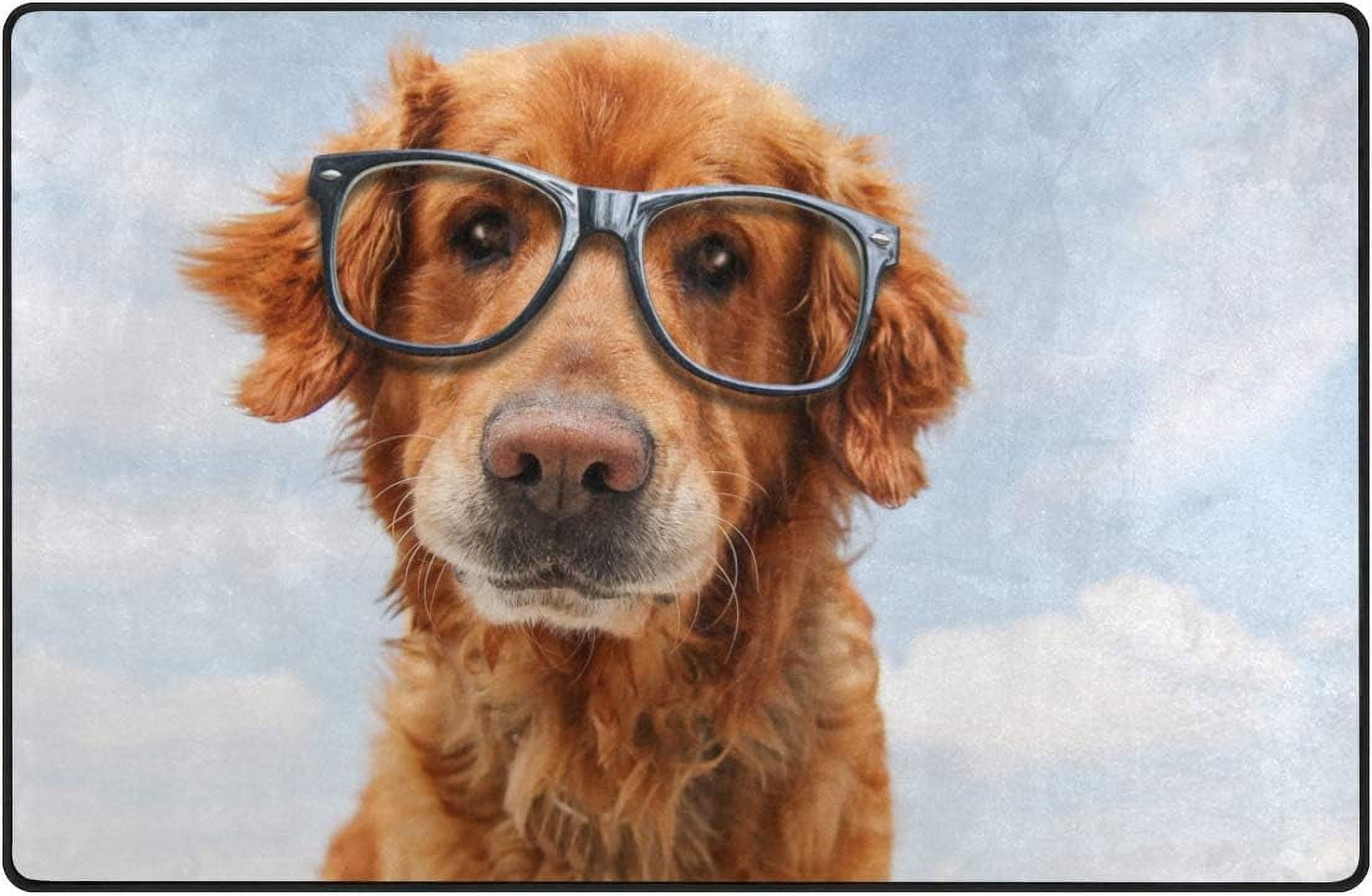 Coolnut Area Rug 60 x 39 inch (5'x 3'3"), Carpet Golden Retriever Wear ...