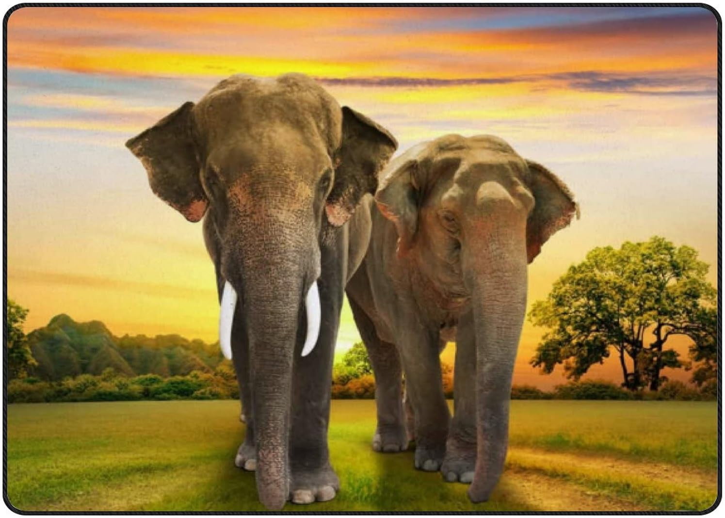 Coolnut Area Rug 60 x 39 inch (5'x 3'3"), Elephants Family On Sunset ...