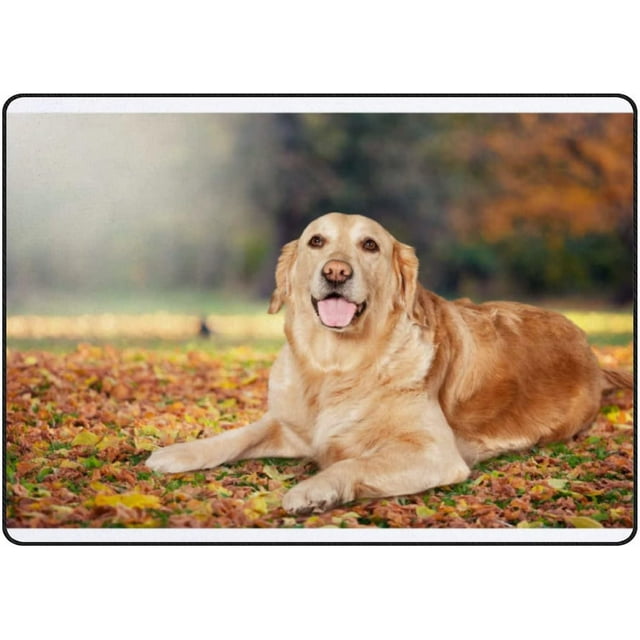 Coolnut Area Rug Cute Golden Retriever Dog Nursery Rug Floor Mat Kids ...