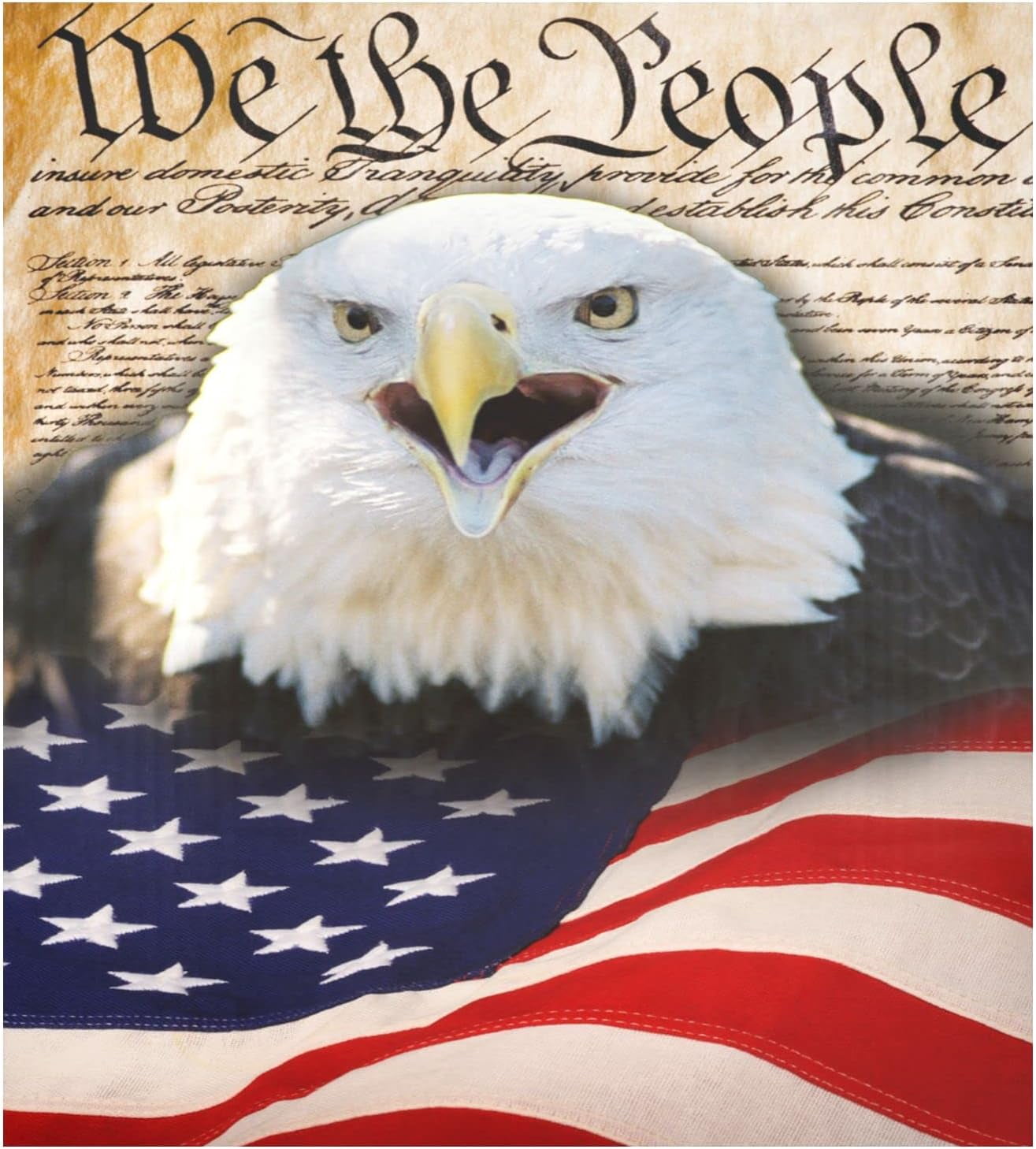 Coolnut Bald Eagle American Flag Dishwasher Magnet Cover, Front ...